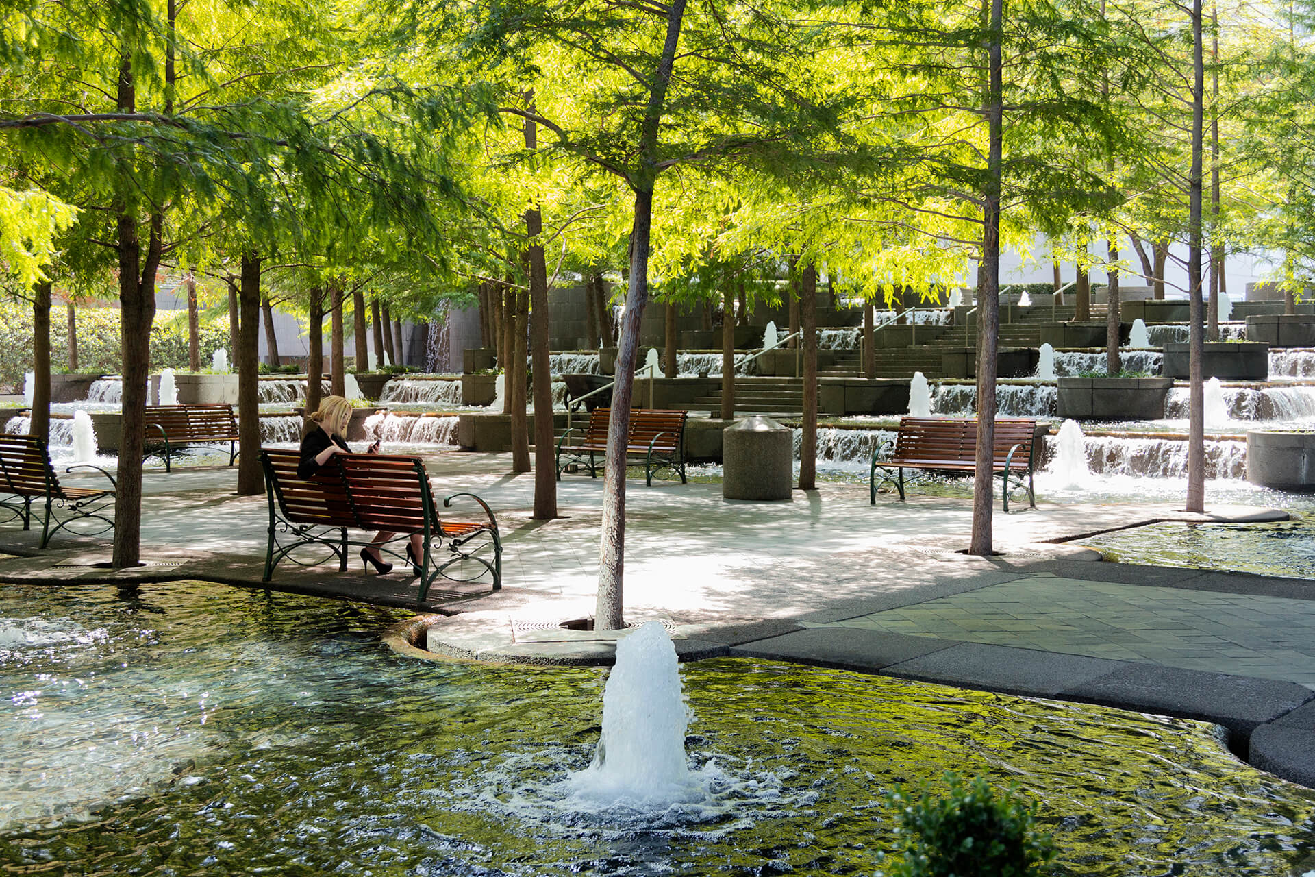 Risk Management - Fortune Wealth Management - Dallas, TX